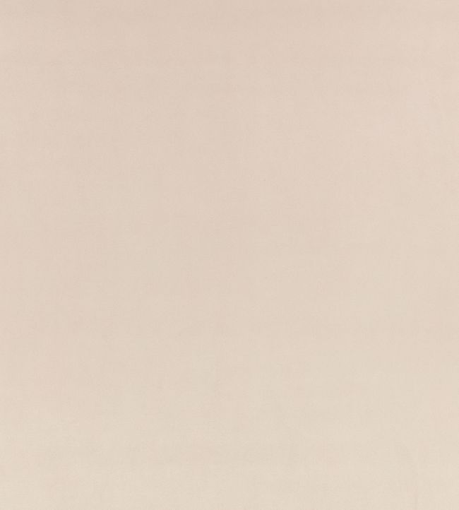 Z Suede Fabric in Seal by Zinc | Jane Clayton