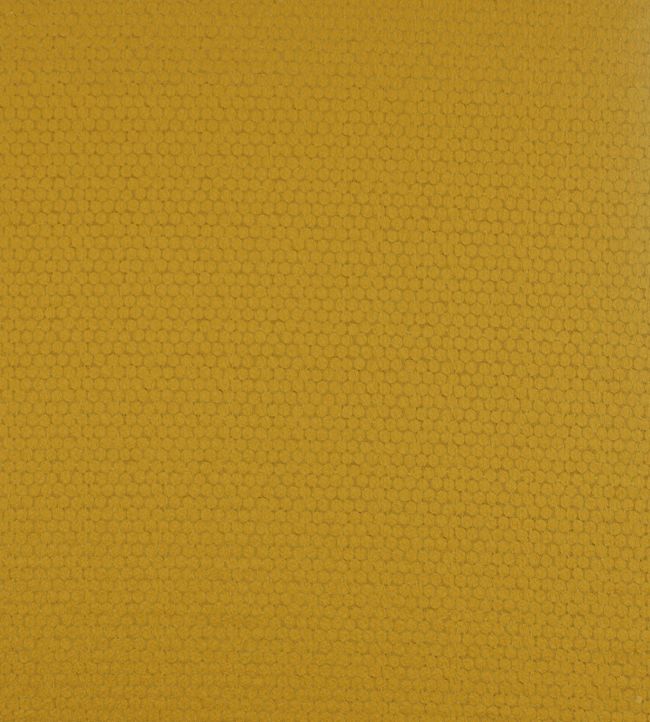 Brooks Fabric in Tigers Eye by Zoffany | Jane Clayton