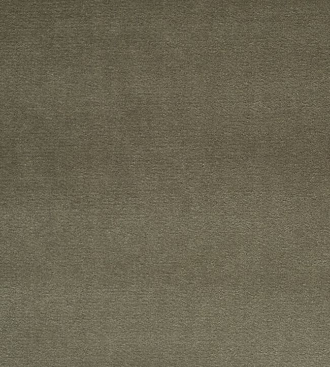 Quartz Velvets Fabric in Antique Linen by Zoffany | Jane Clayton