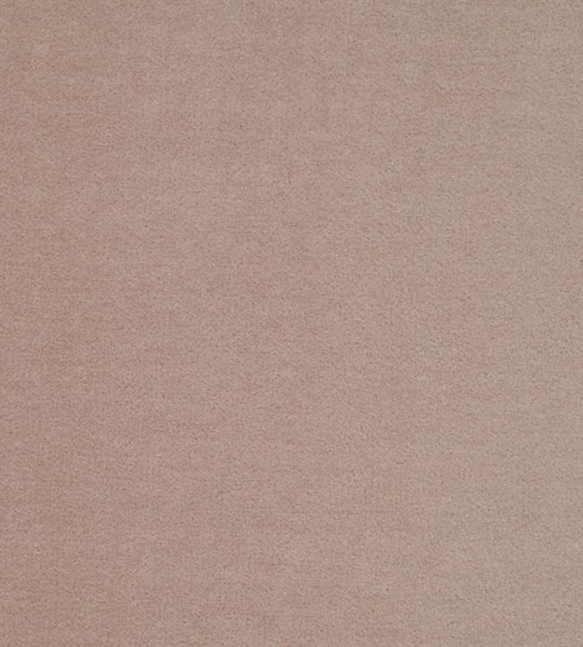 Quartz Velvets Fabric in Rose Quartz by Zoffany | Jane Clayton