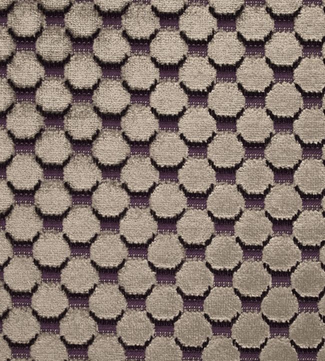 Tespi Spot Fabric in Amethyst/Mole by Zoffany | Jane Clayton