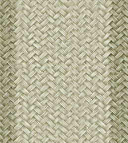 Palmeral Wallpaper in Green by Coordonne | Jane Clayton