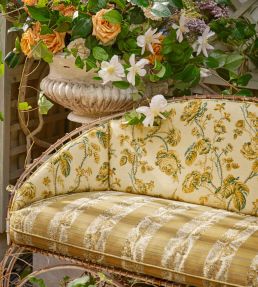 Thorny Vine Fabric in Silk Yellow by Zoffany | Jane Clayton