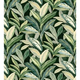 Baby Oasis Fabric in Evergreen by Arley House | Jane Clayton