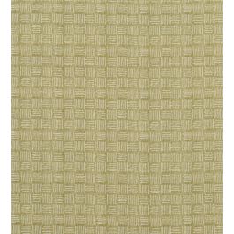 Salsa Square Fabric by Baker Lifestyle in Cashew | Jane Clayton