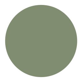 Sanderson Devon Green Water-Based Eggshell Paint | Jane Clayton