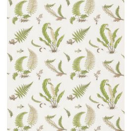 Ferns Embroidery Fabric in Green by GP & J Baker | Jane Clayton