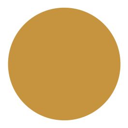 French Ochre Paint in French Ochre by Craig & Rose | Jane Clayton
