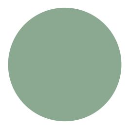 Sanderson Hosta Green Active Emulsion Paint | Jane Clayton