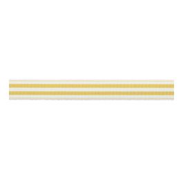 MDS Stripe Border 2.6cm Trimmings in Jonquil by Samuel & Sons | Jane ...