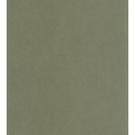 Nest Wallpaper in Vert Taiga by Casadeco | Jane Clayton