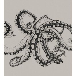 Octopus X-Ray Wallpaper mural in Ink by Coordonne | Jane Clayton