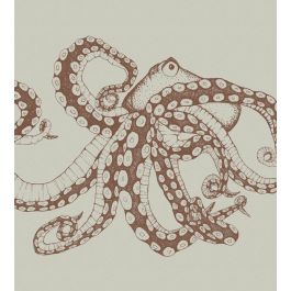 Octopus X-Ray Wallpaper mural in Papirus by Coordonne | Jane Clayton
