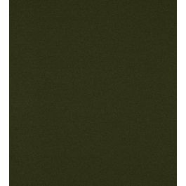 Rimini Fabric in Olive by Manuel Canovas | Jane Clayton