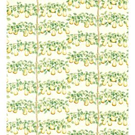 Perry Pears Fabric in Ochre/Leaf Green by Sanderson | Jane Clayton