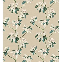 Oleander Fabric in Orange/Teal by Sanderson | Jane Clayton