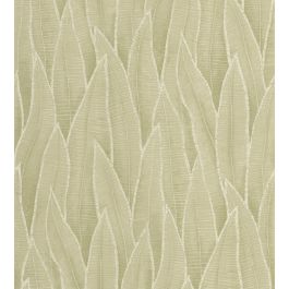 Sansevieria Wallpaper in Argile Vert by Casadeco | Jane Clayton