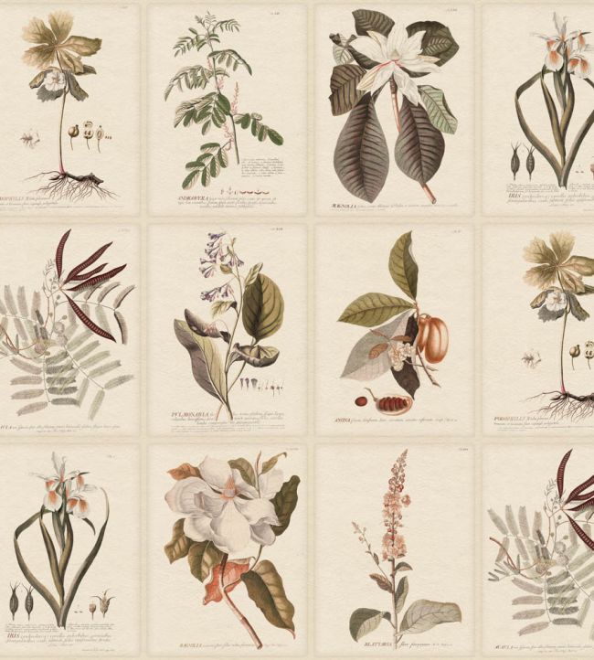 Flora Wallpaper in Sepia by Sandberg | Jane Clayton