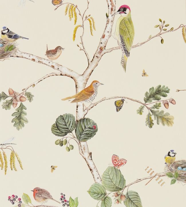 Woodland Chorus Wallpaper by Sanderson in Cream/Multi | Jane Clayton