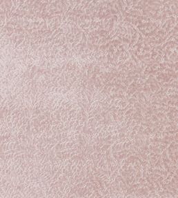 Cartouche Fabric in Blossom by Designers Guild | Jane Clayton