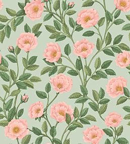 Hampton Roses Wallpaper in Rose Leaf by Cole & Son | Jane Clayton
