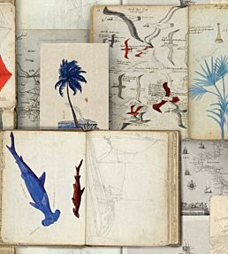 Seaman's Journal Wallpaper in Indigo by MINDTHEGAP | Jane Clayton