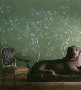 Songbird Wallpaper mural in Spring by Andrew Martin | Jane Clayton