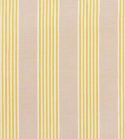 The Hudson Stripe Performance Fabric in Limone by Christopher Farr ...