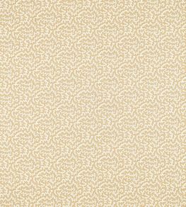 Designer Fabric | Upholstery & Drape Fabric | Jane Clayton